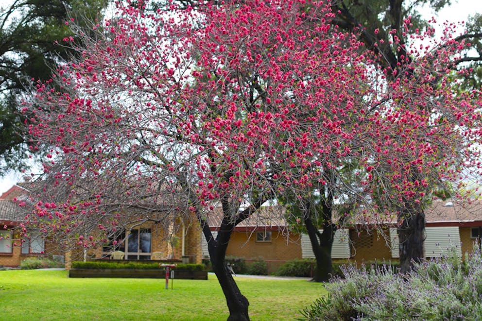 Killean - Inverell NSW | Residential Care | Mclean Care